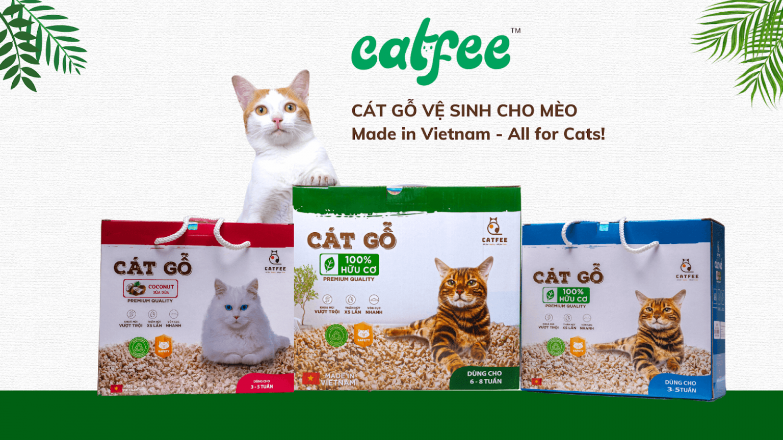 Review Các Loại Cát Cho Mèo Tốt Nhất 2026: Đất Sét, Tofu, Gỗ